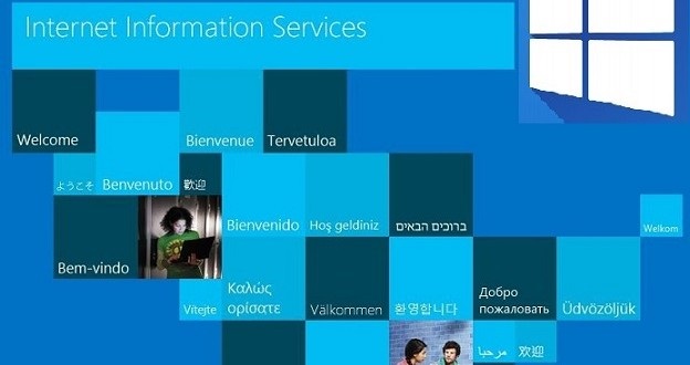 How to enable IIS (Internet Information Services) on Windows 11